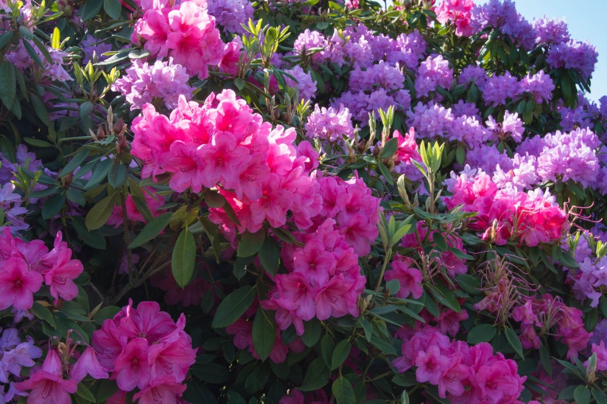 Unmukta | Boundless Journey Images